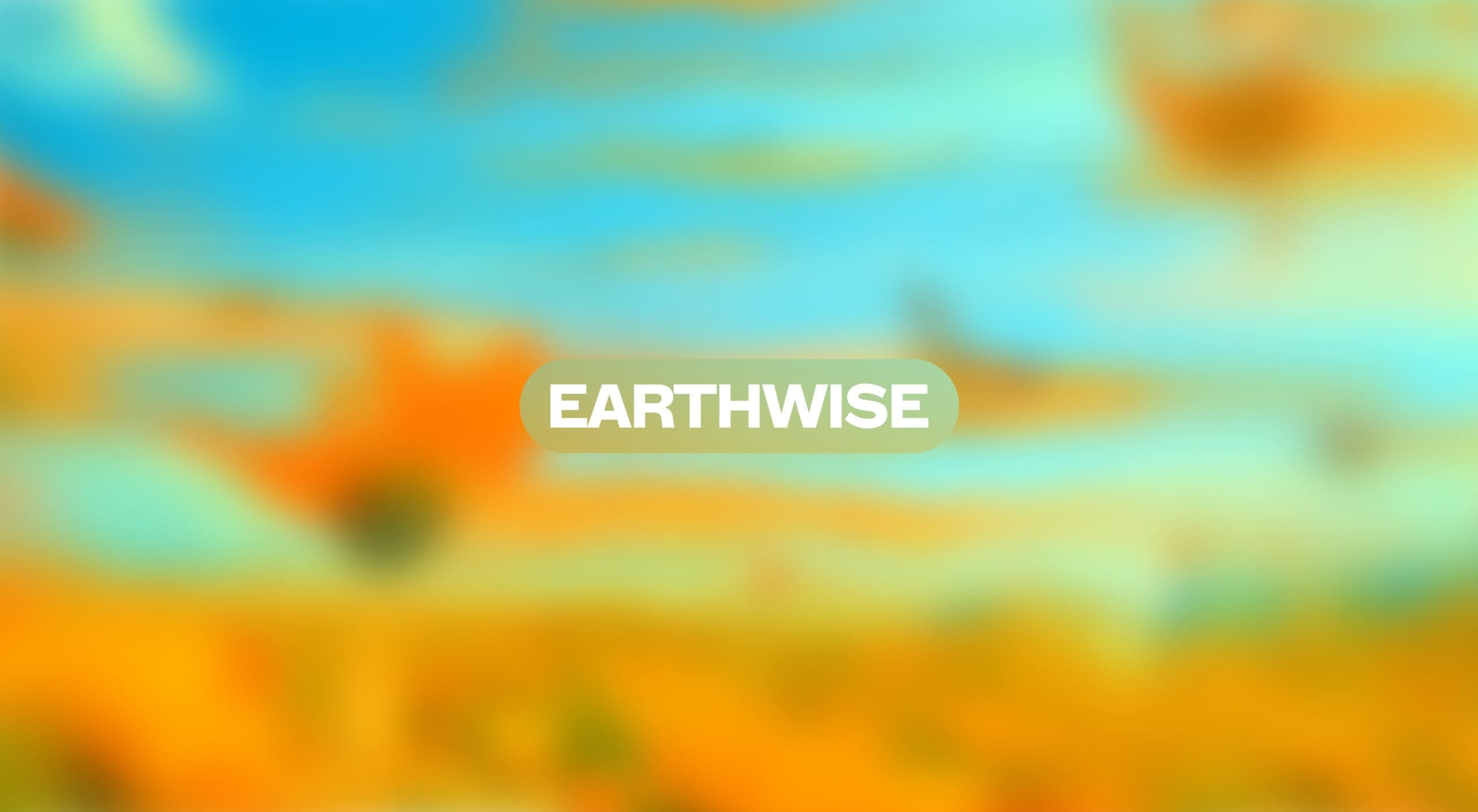 Love Tomorrow and VITO present Earthwise, showcasing impactful ...